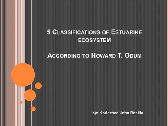 Restore Ubin Mangroves (R.U.M.) Initiative pamphlet (English) | PPT