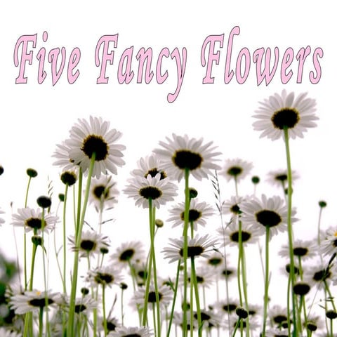 Five Fancy Flowers | PPT