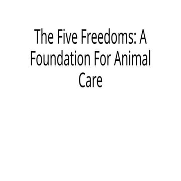 Five Freedoms (1).pptxabcefghijklmnopqrs | PPTX