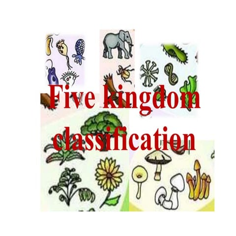 Five kingdom classification | PPT