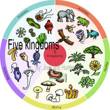 Five kingdoms | PPT
