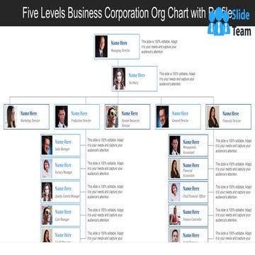 Five Levels Business Corporation Org Chart With Profile | PDF