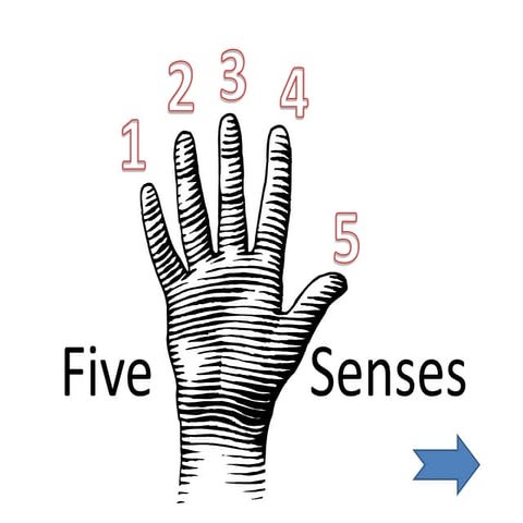 Examples of the 5 senses | DOCX