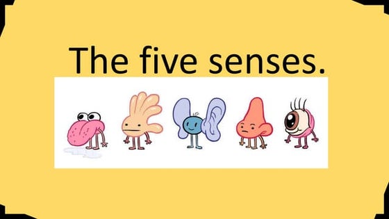 The Five Senses Powerpoint | PPTX | Perfume and Fragrance | Beauty