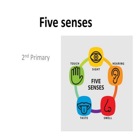Five senses | PPTX