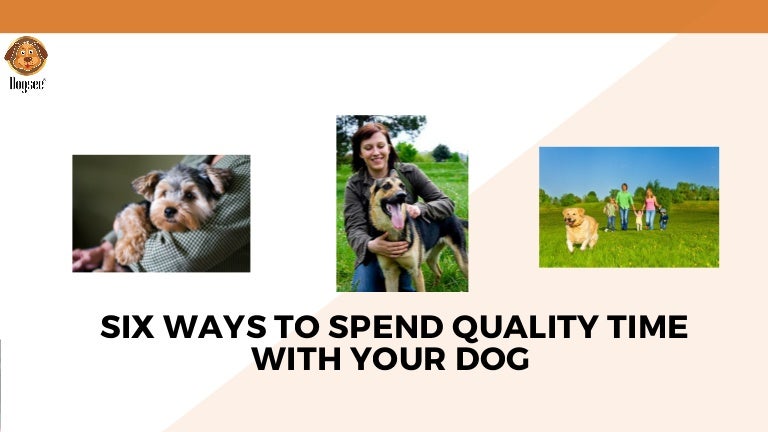 SIX WAYS TO SPEND QUALITY TIME WITH YOUR DOG
