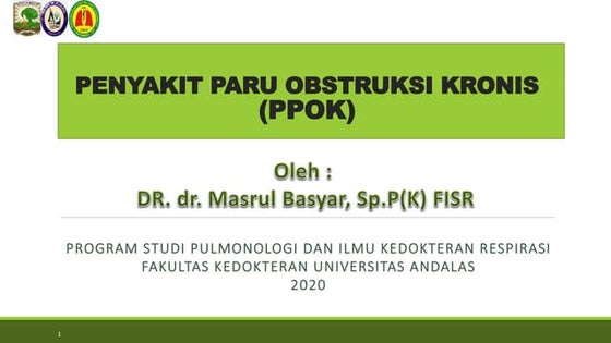 PPOK | PDF