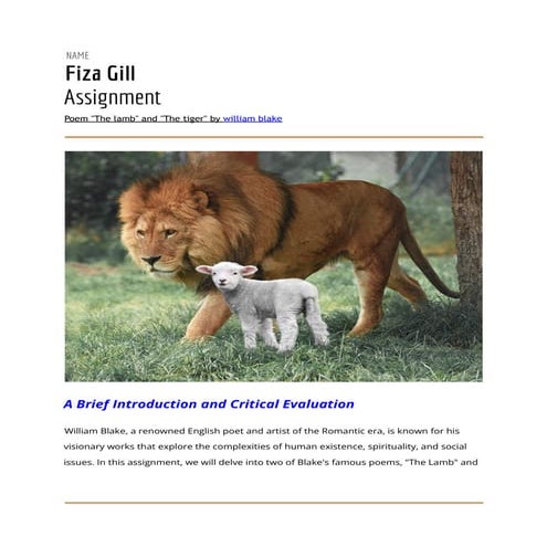 Fizagill assignment Functional English.pdf