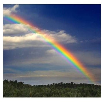 Fizica 9 dispersia.pptx