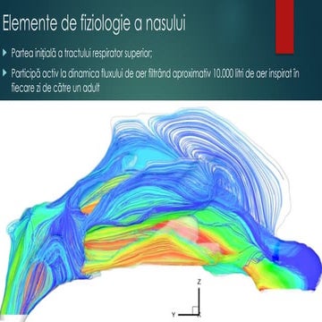 Fiziologia nasului. Mecanisme fiziologice | PPTX