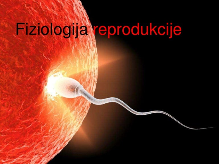 Fiziologija Reprodukcije