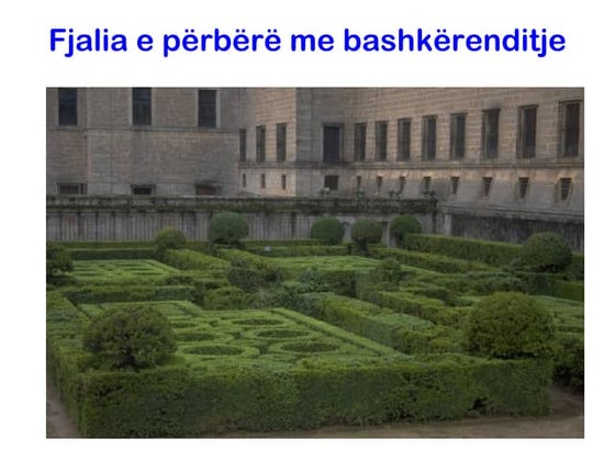 Folja ne kohen e tashme | PDF