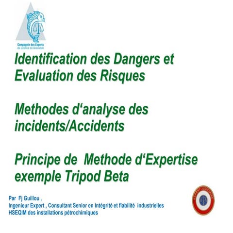 Assets Integrity Process Safety Pdf
