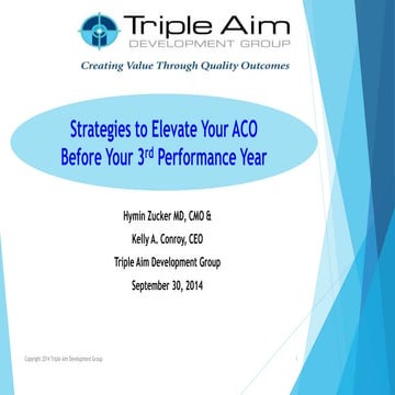 FLAACOs 2014 Conference - Strategies to Elevate Your ACO | PPTX