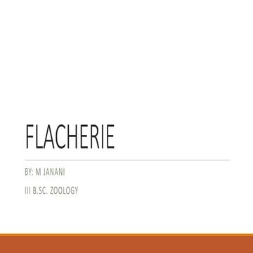 FLACHERIE | PPTX