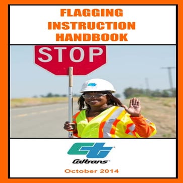 flagging_handbook.pdf