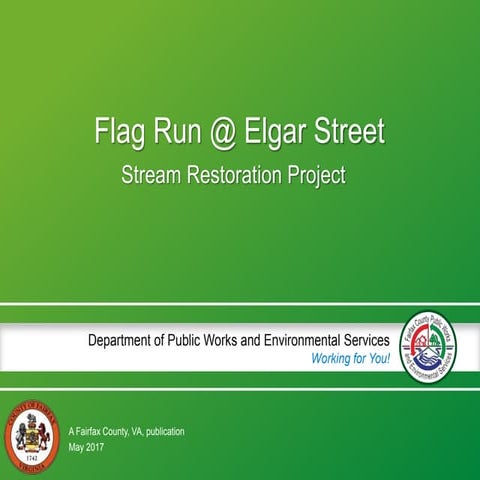 Flag Run at Elgar Street Stream Restoration Project - May 24, 2017 | PPT