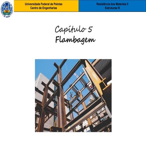 Flambagem exercícios de exemplos | PDF | Physics | Science