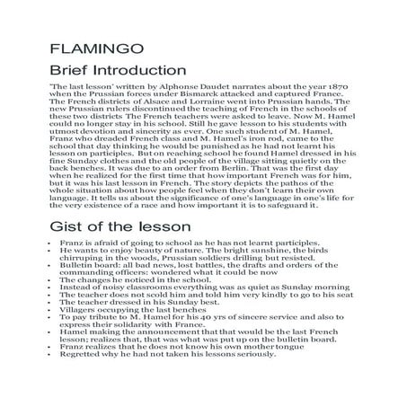 Flamingo | DOCX