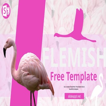 Flamingos-Template-slidesppt.netcfff_.pptx