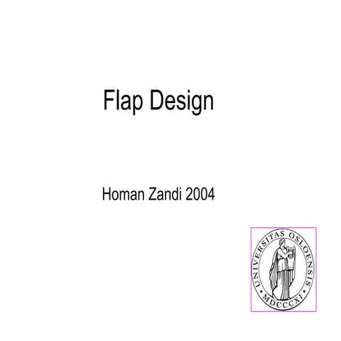 Flap Design2.pdf
