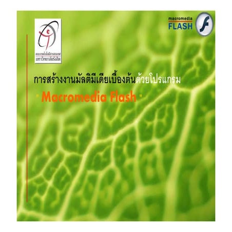 Flash Tutorial | PDF