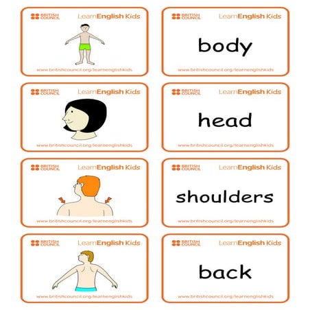 flashcards-body.pdf