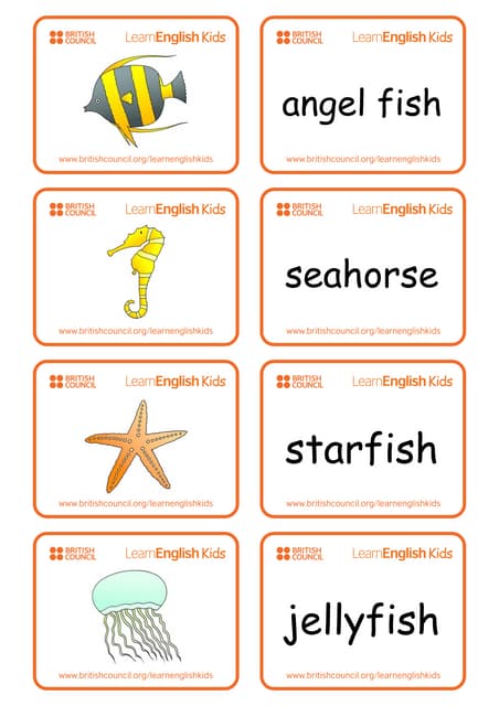 Flashcards | PDF