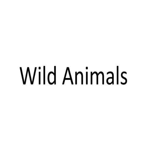 Wild Animals | PPT
