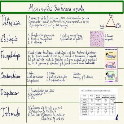 Flashcards CCM 3 INFECTOLOGIA estudio ENARM | PDF