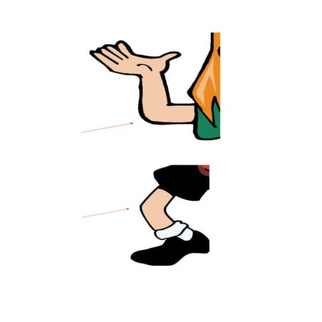 Flashcards&wordcards parts of the body and joints | DOC