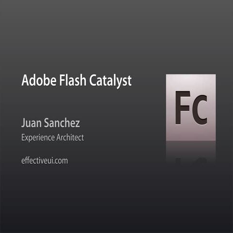 Flash Catalyst at Flex Camp Orange County | PPT