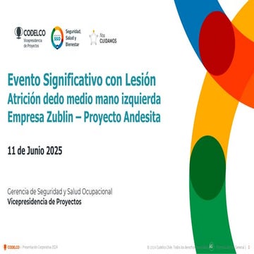 Flash corporativo de Seguridad (Evento Significativo con Lesión Zublin ...
