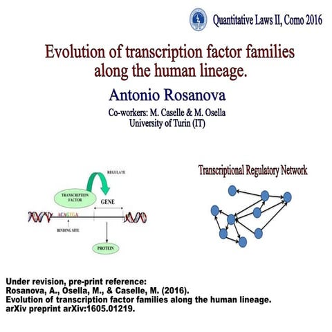 Evolution of transcription factor families along the human lineage | PDF