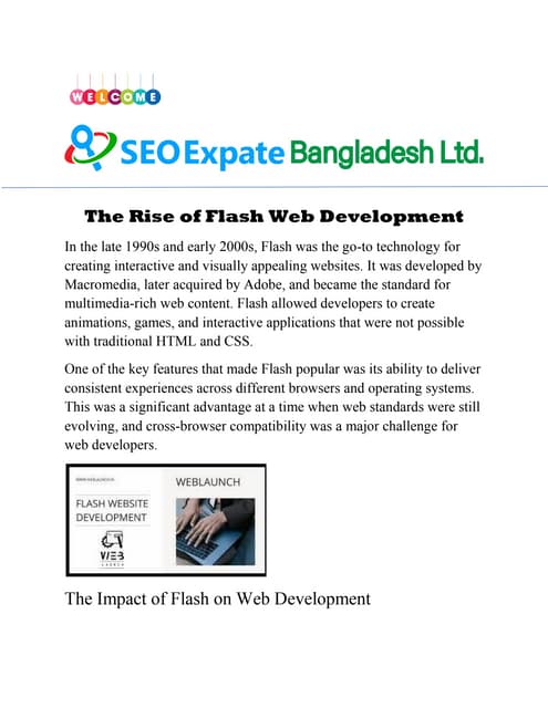 Flash Web Designs | PDF | Web Development | Internet