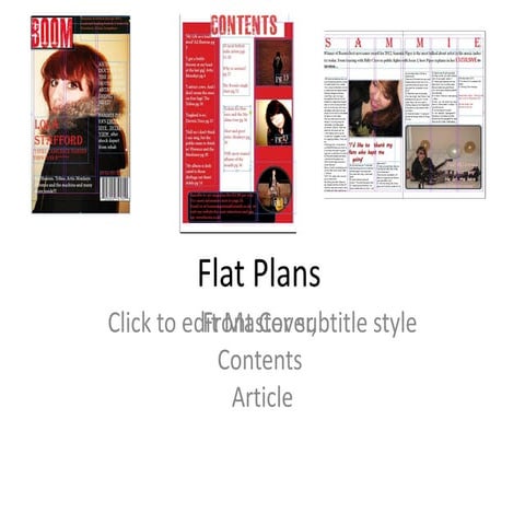 Flat plans media | PPT