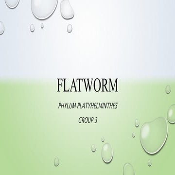 Platyhelminthes | PPTX