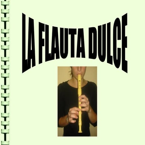 GENERALIDADES FLAUTA | PPT