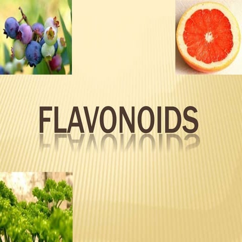 flavanoids.pptx