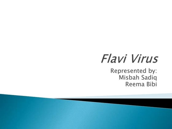 22 flaviviridae da | PDF