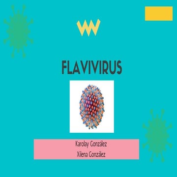 Presentacion sobre flavivirus, estructura, genoma entre otros | PDF