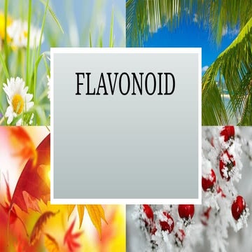 FLAVONOID and their characteristics.pptx