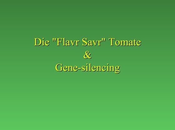 Flavr savr tomato.ppt | Gardening | Home & Garden