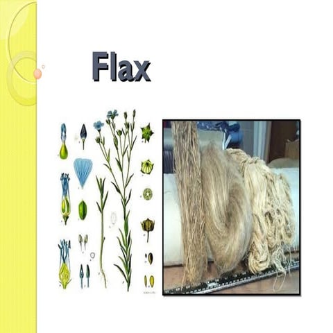 Flax fiber ppt | PPT