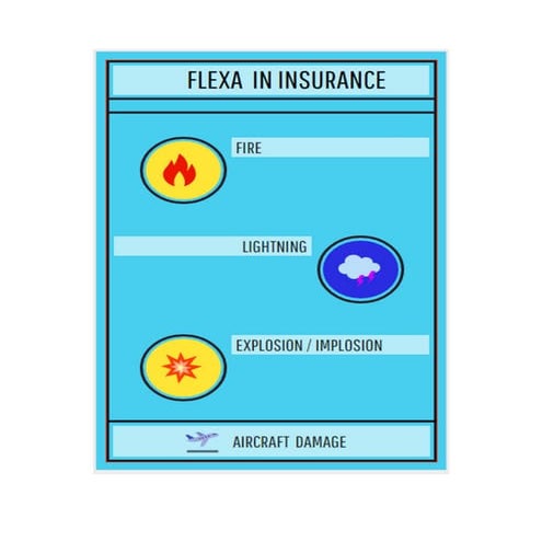 FLEXA IN INSURANCE | PDF