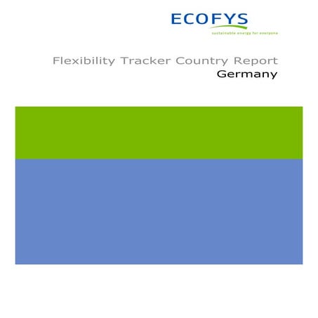 Flexibility Tracker Country Report - Germany | PDF