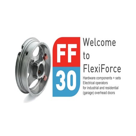 Flexi Force | PPT