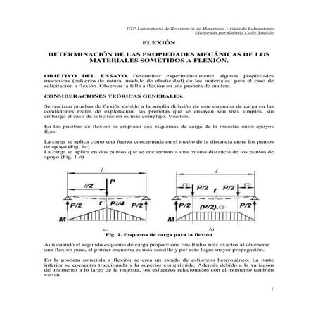 Flexion | PDF | Physics | Science