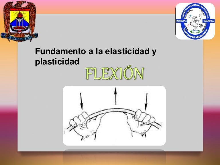 Flexion (1)