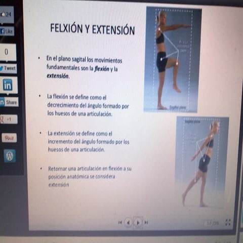 Flexion y extensión | PDF